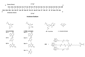 Oligonucleotide 寡核苷酸 - 核芯生物医药