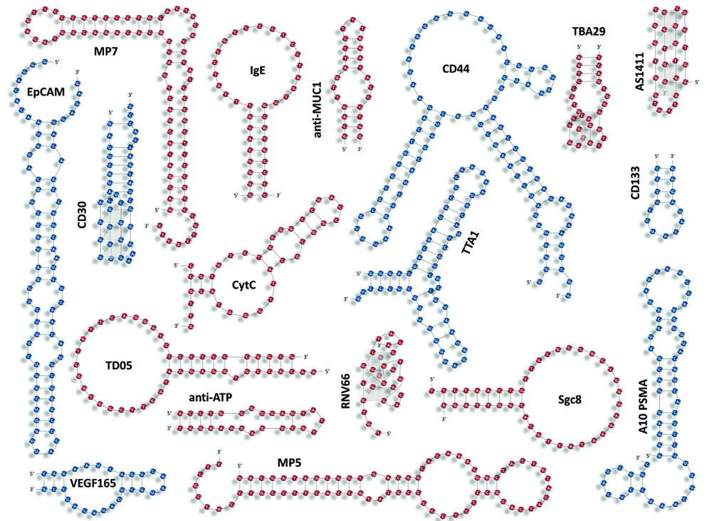 Nucleic Acid Materials GMP plant, one-stop supply materials from Lab to ...
