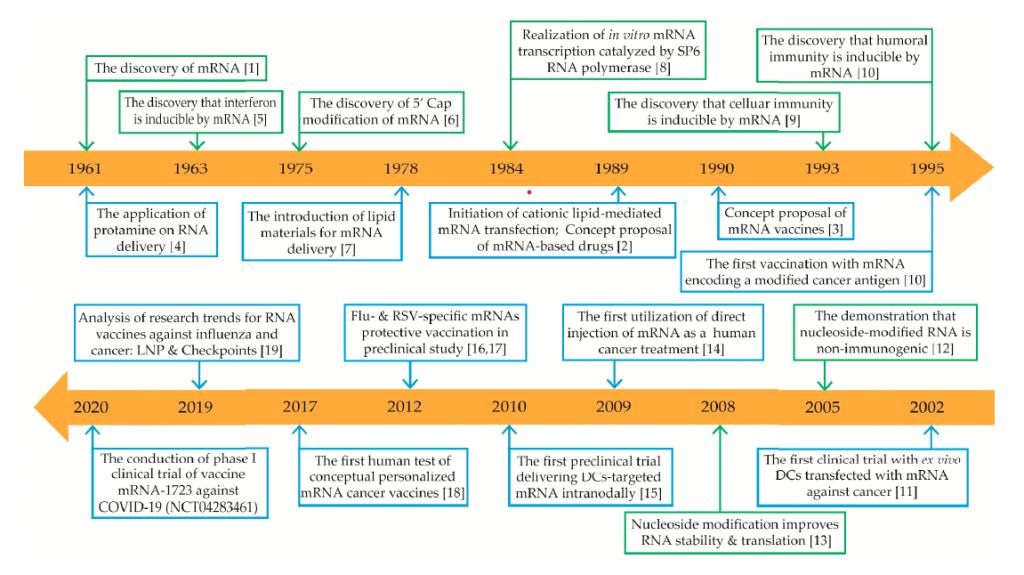 Timeline of some key discoveries and advances in the development of ...