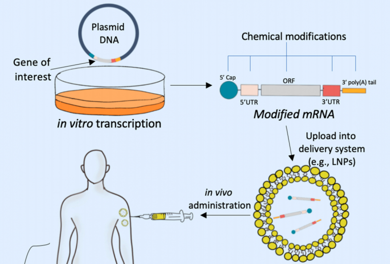 Nucleic Acid Materials GMP plant, one-stop supply materials from Lab to ...